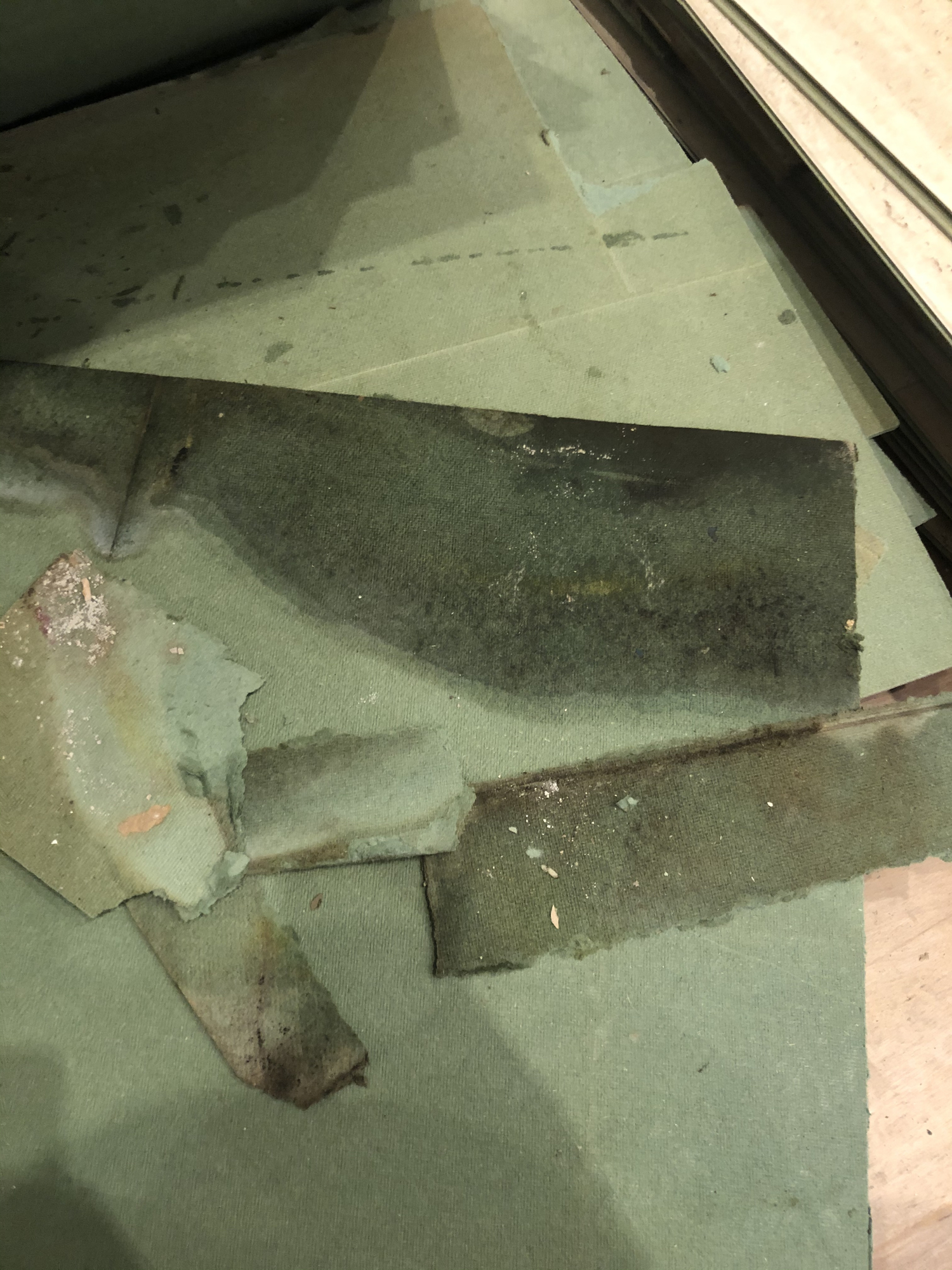 What to do if the surveyor failed to pick up issues ...