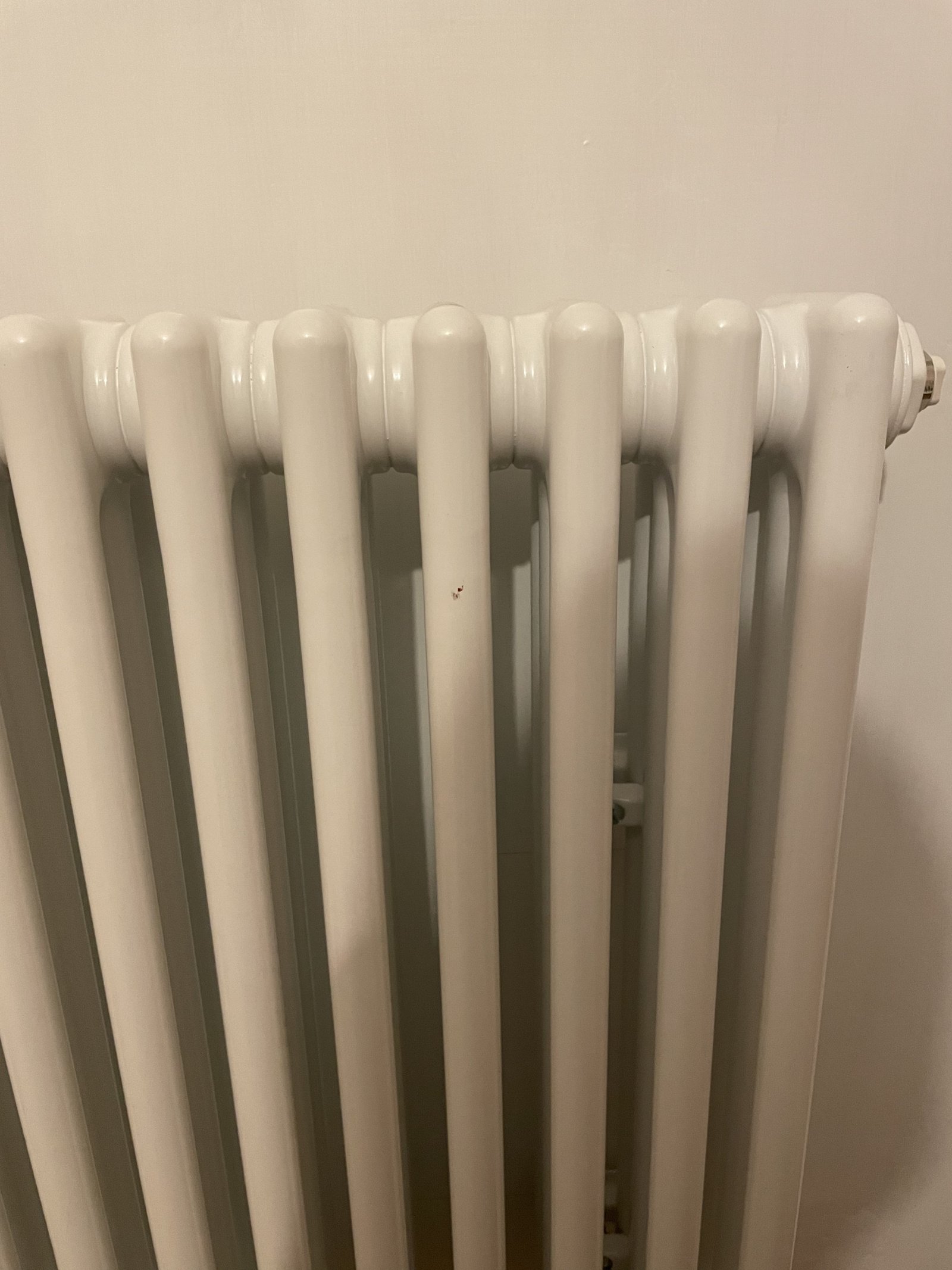 Chipped radiator installed by heating engineer — MoneySavingExpert Forum