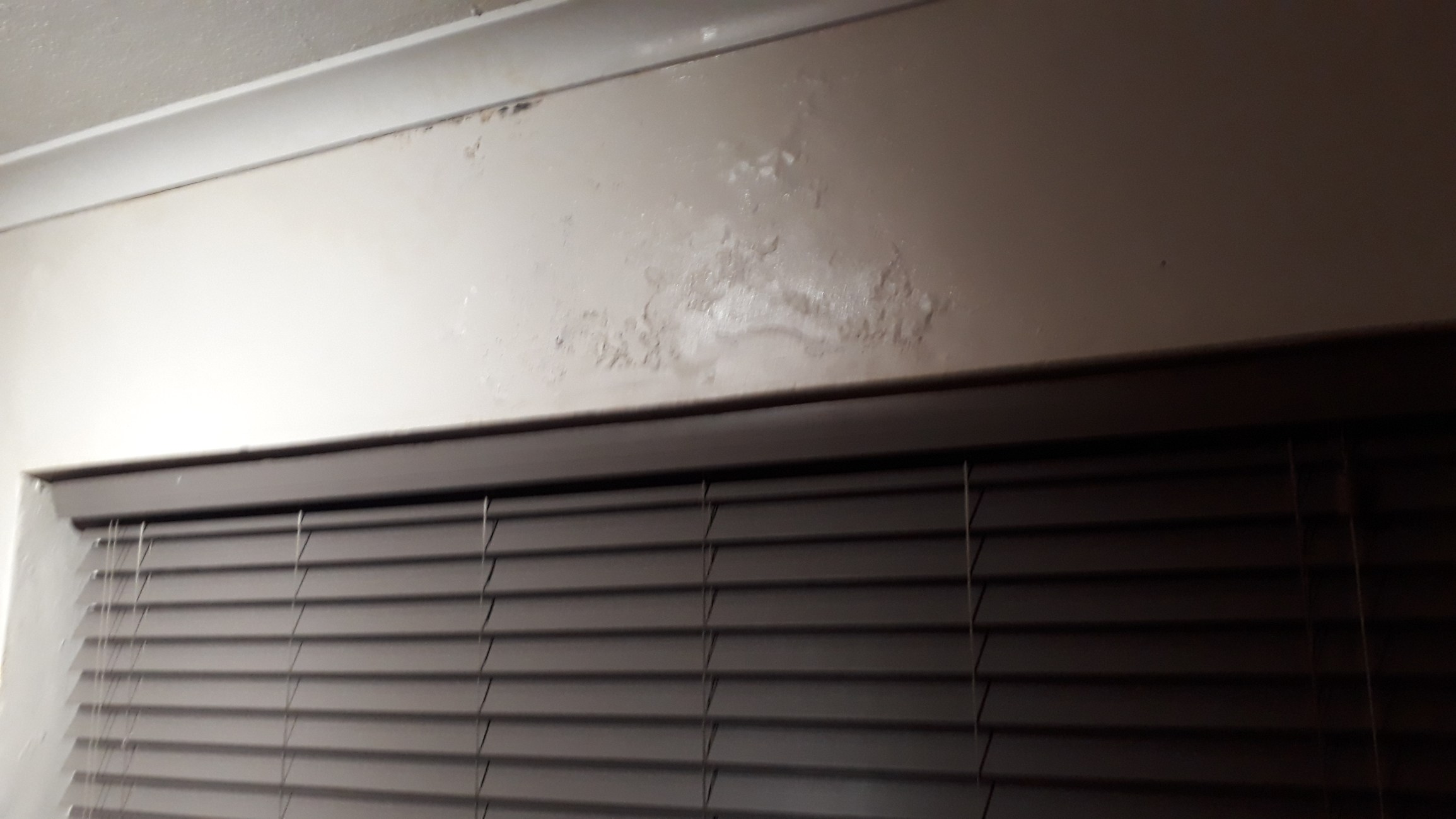 Water On Kitchen Walls — MoneySavingExpert Forum