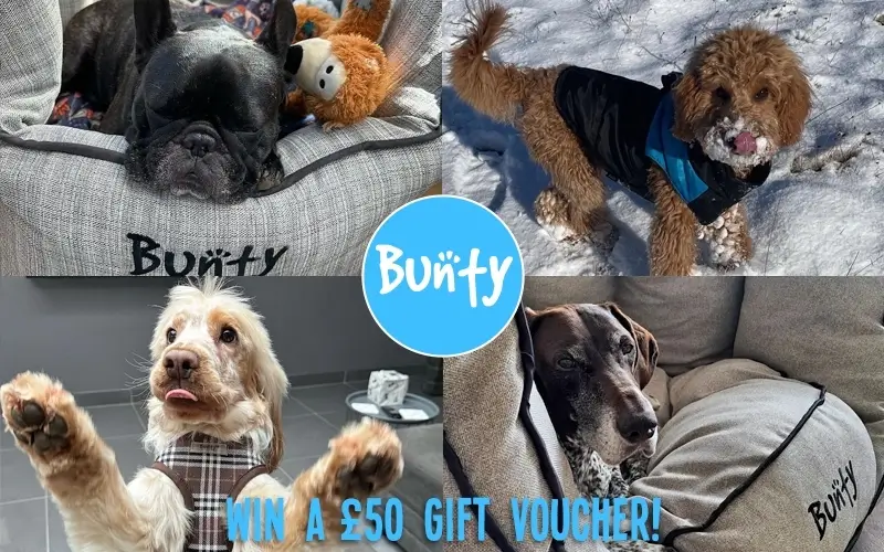 E: 01/12 Win £50 Bunty Pet Products Gift Voucher! TEN TO BE WON ...
