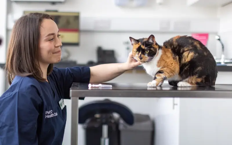 E: 10/05 (MD) Win a one-year Pet Health Club membership ...