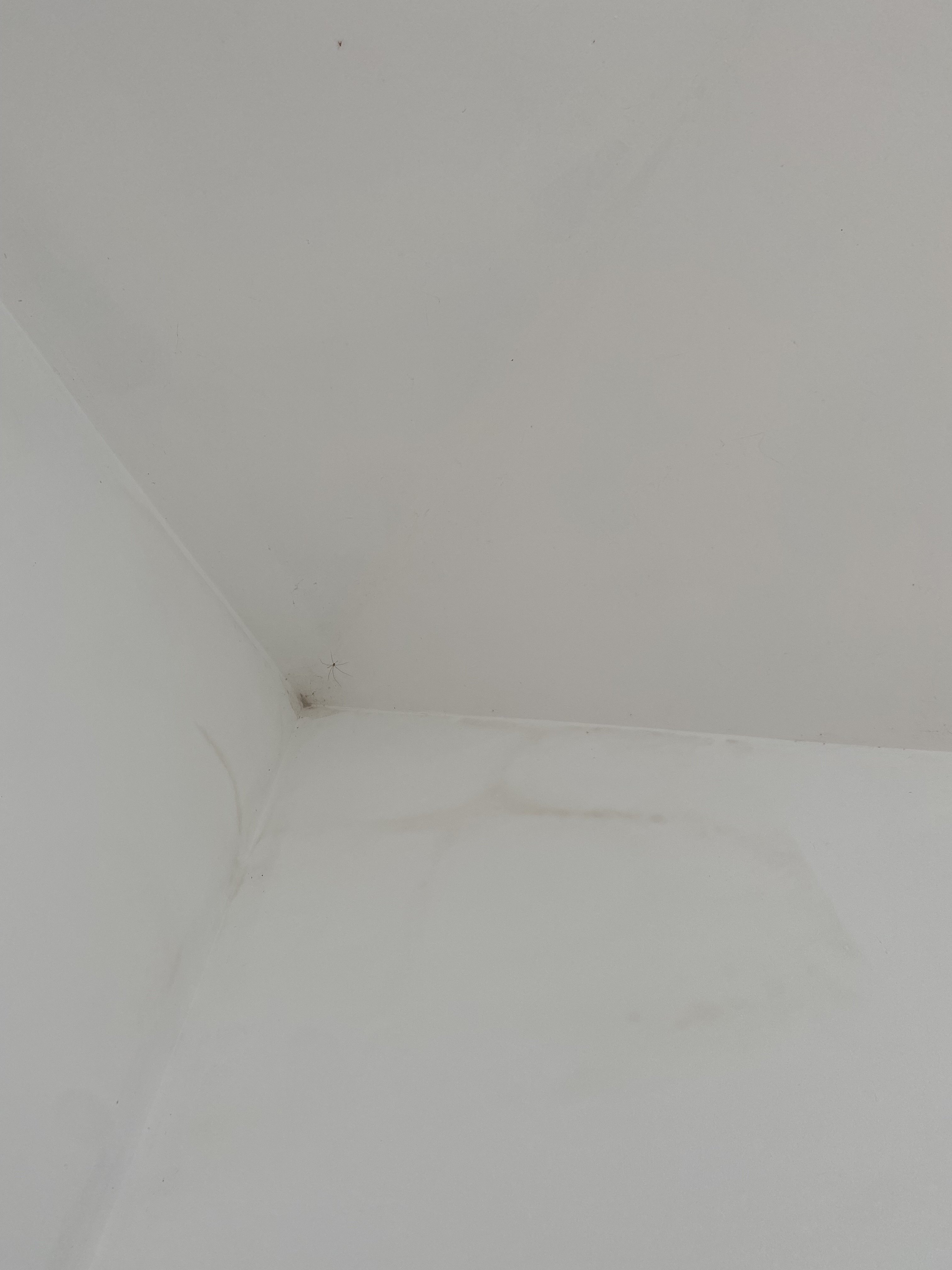 Noticed watermarks in porch ceiling — MoneySavingExpert Forum
